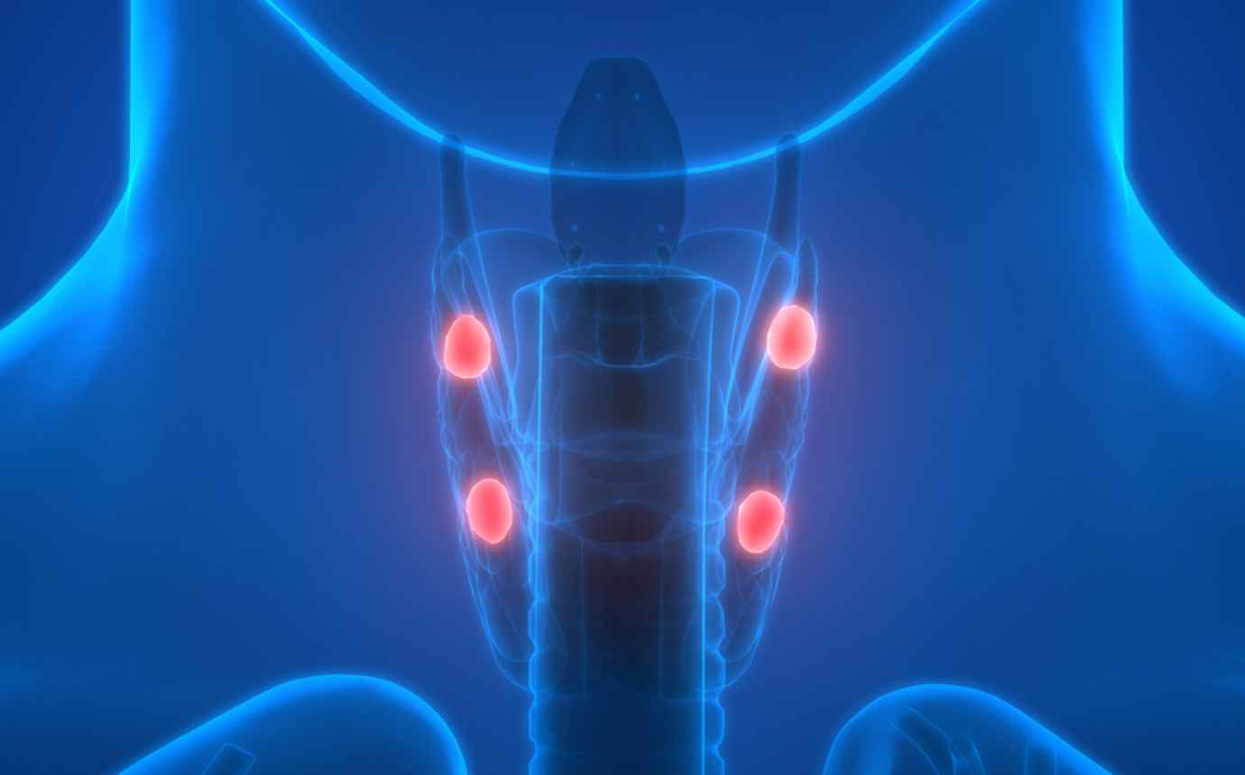 Struuma eli suurentunut kilpirauhanen on yleensä oireeton - Netlääkäri
